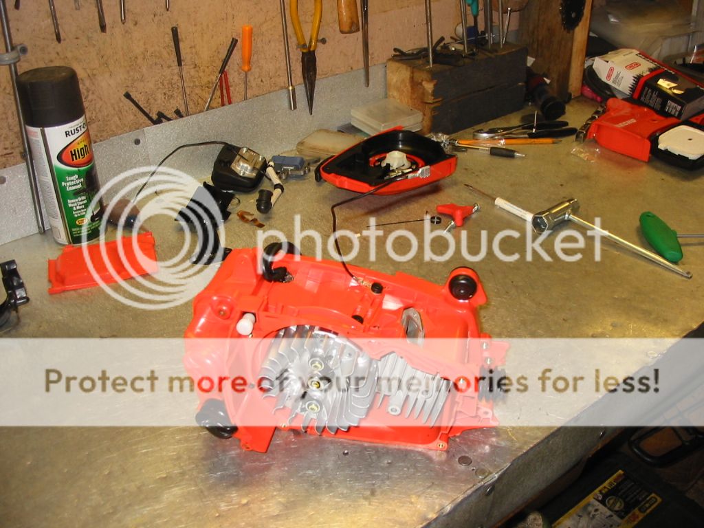 Mastermind Meets The Echo CS-355T | Arborist, Chainsaw & Tree Work Forum